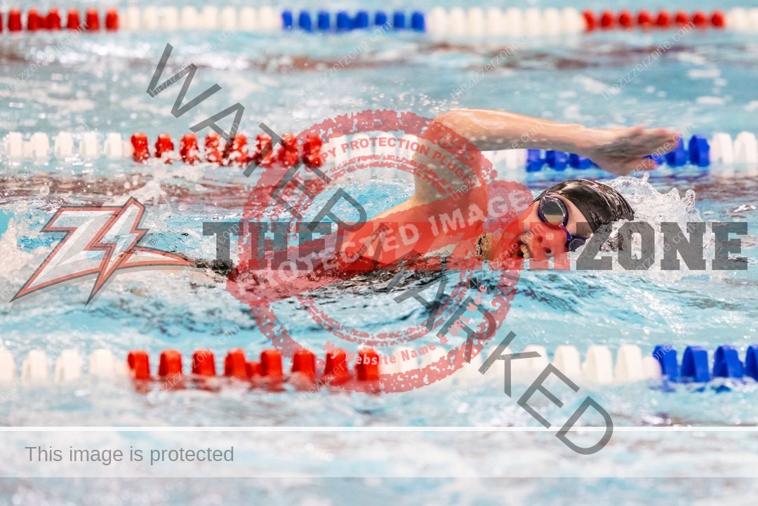 Zizzers Host Swim Meet | The Zizzer Zone