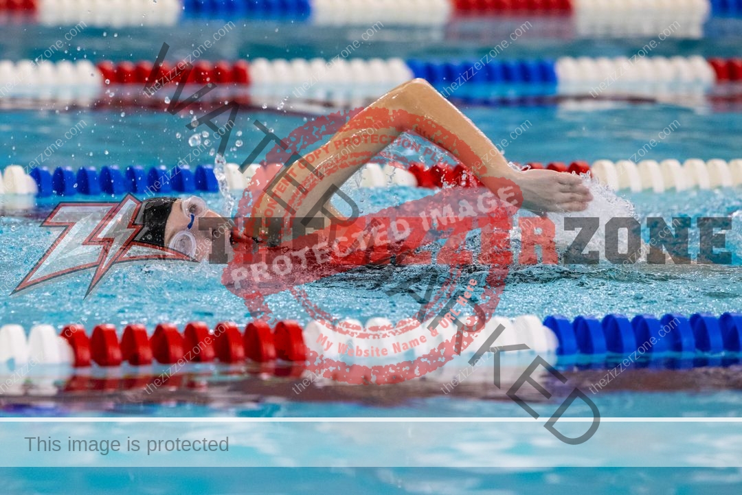 Zizzers Host Swim Meet | The Zizzer Zone