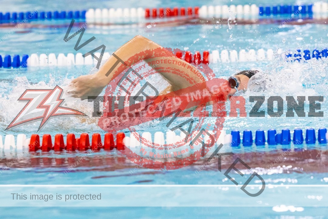 Zizzers Host Swim Meet | The Zizzer Zone