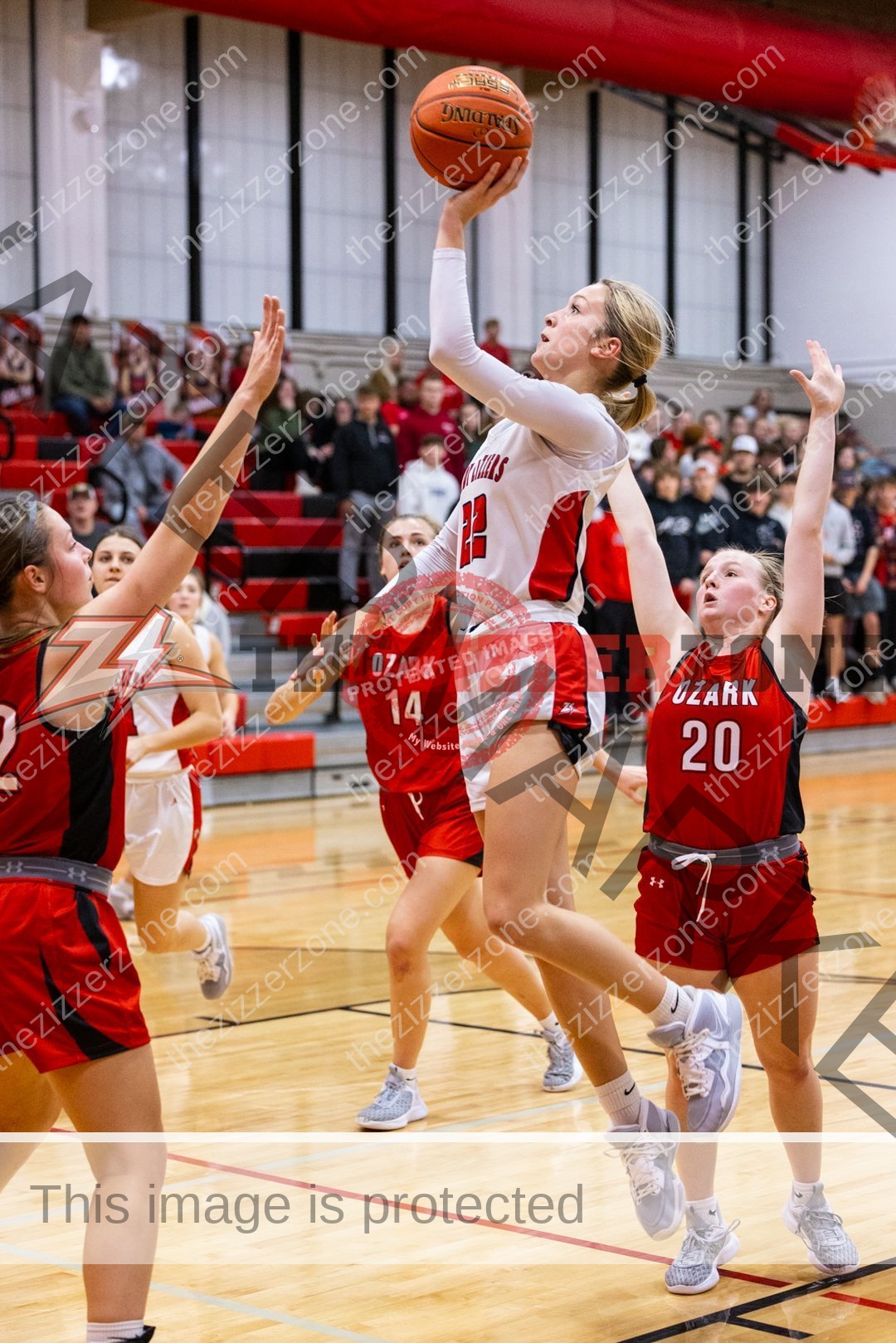Vote | The Zizzer Zone