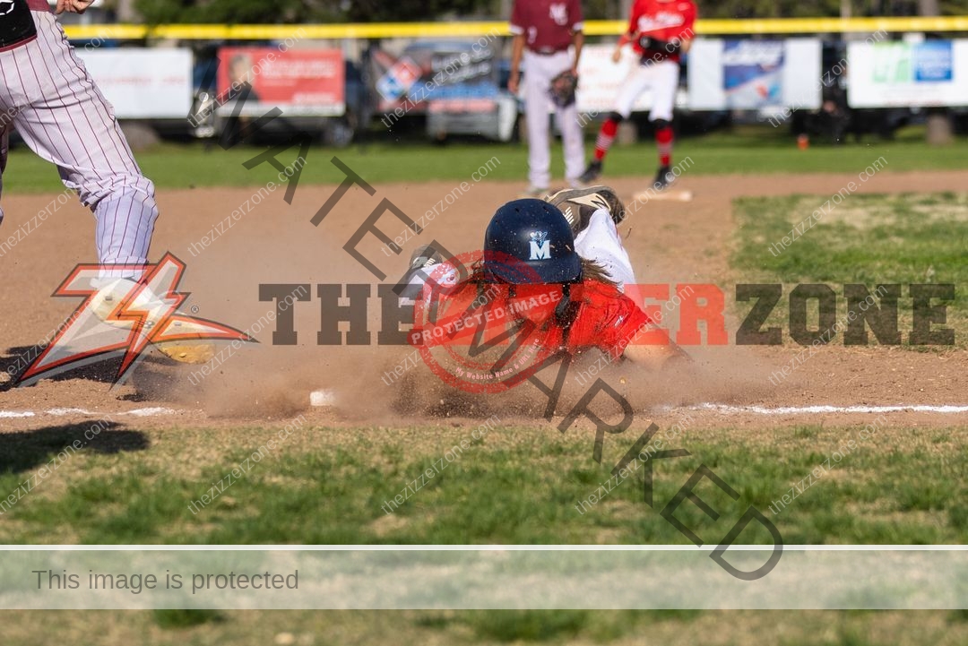 Vote | The Zizzer Zone